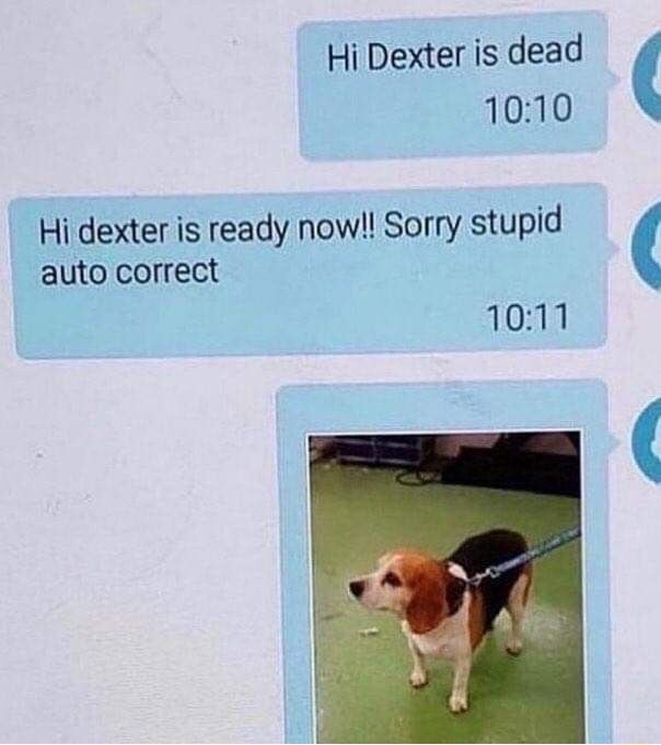 Hi Dexter is dead Hi Hi dexter is ready now! Sorry stupid auto correct ...
