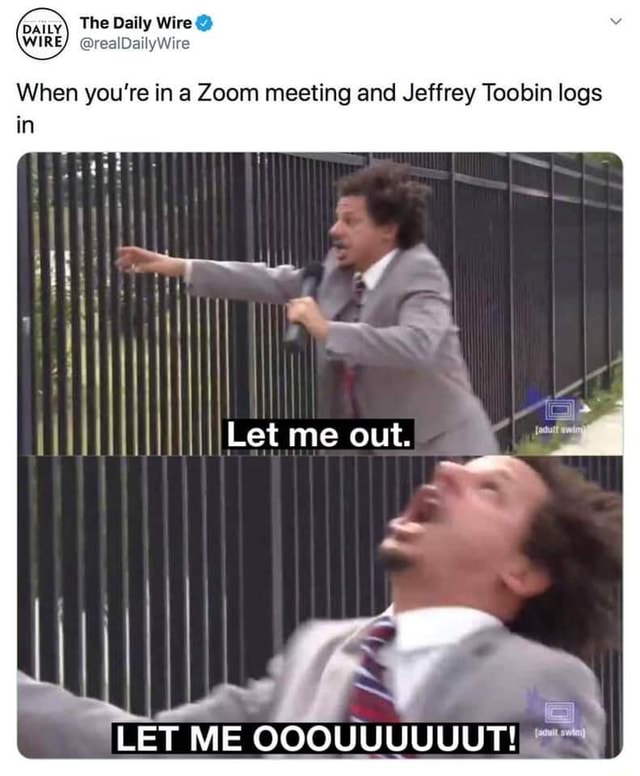 The Daily Wire Wire When you're in a Zoom meeting and Jeffrey Toobin ...