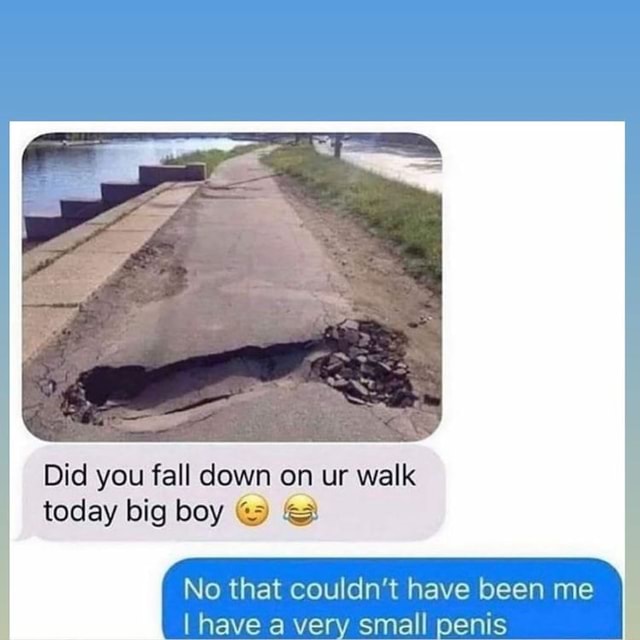 Did you fall down on ur walk today big boy No that couldn't have been ...