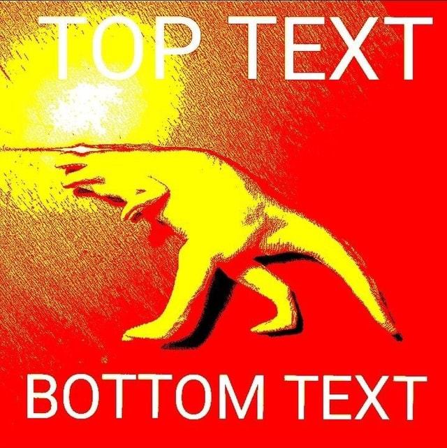 BOTTOM TEXT - iFunny