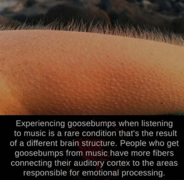 The reason people get goosebumps when listening to music - Experiencing ...