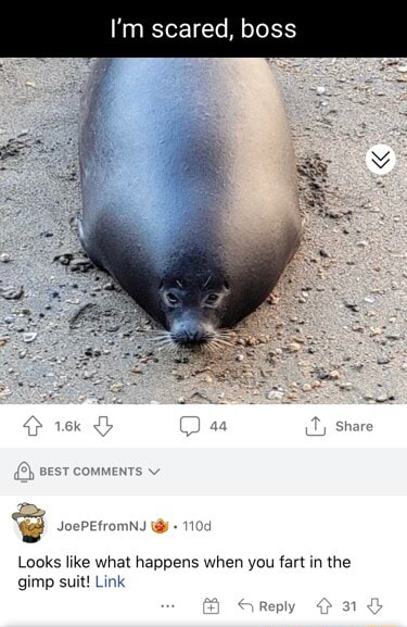 I'm scared, boss T COMMENTS Looks like what happens when you fart in ...