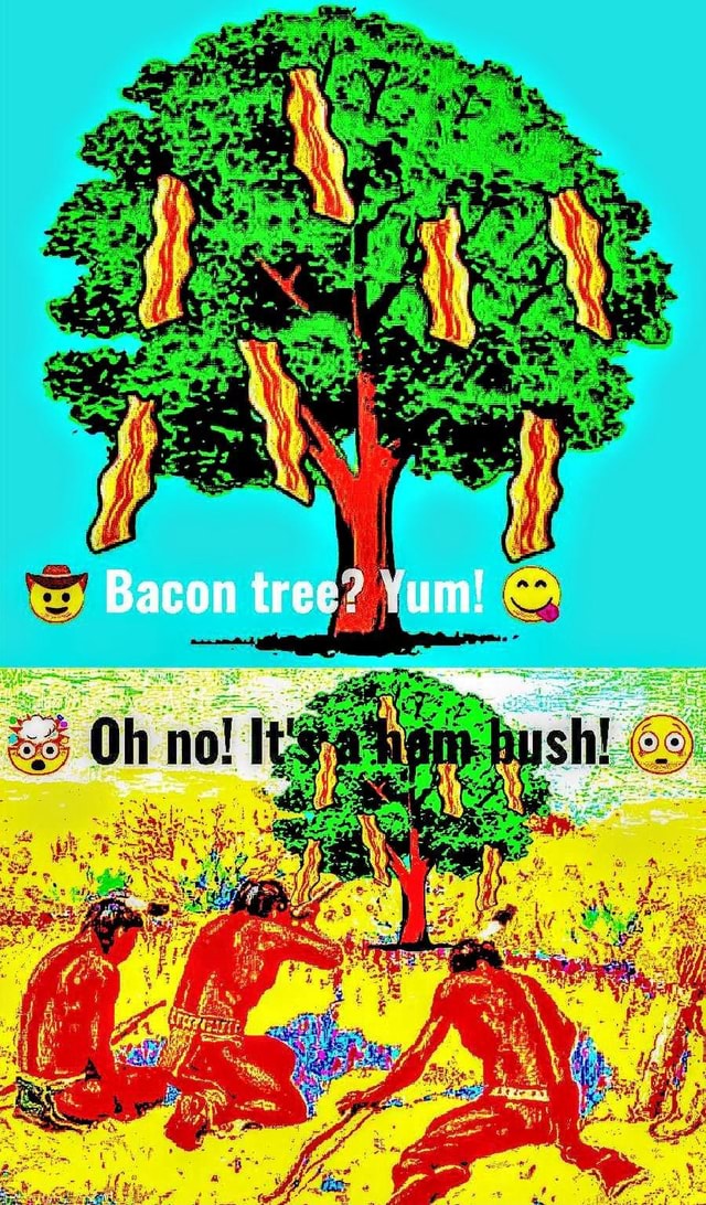 Bacon tree * "um! - iFunny