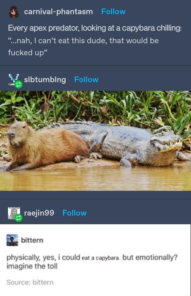 Carnival-phantasm Every apex predator, looking at a capybara chilling ...