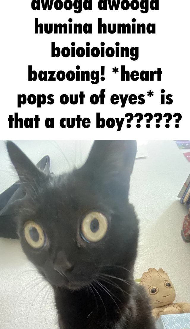 Humina humina boioioioing bazooing! *heart pops out of eyes* is that a ...