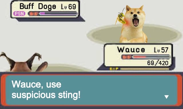 Buff Doge Lu 69 Wauce_ 1u57 69 Wauce, use suspicious sting! - iFunny