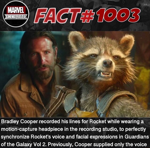 .1 Bradley Cooper recorded his lines for Rocket while wearing a motion ...