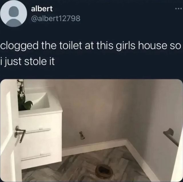 Albert clogged the toilet at this girls house so just stole it - iFunny