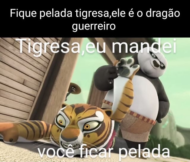 Fique pelada tigresa,ele é o dragão guerreiro Tigresa,eu mandei você ficar pelada - iFunny