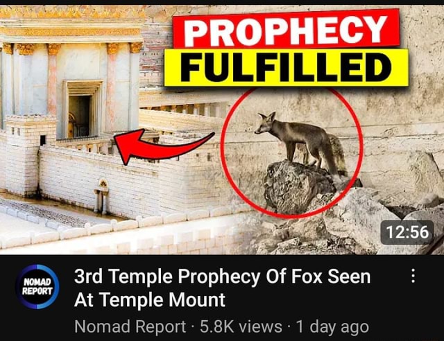 PROPHECY I { FULFILLED Temple Prophecy Of Fox Seen At Temple Mount ...