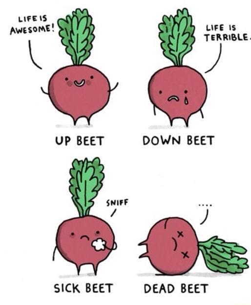 LIFE Is TERRIBLE. LIFEIS Awesome! UP BEET DOWN BEET SICK BEET DEAD BEET SNIFF - iFunny