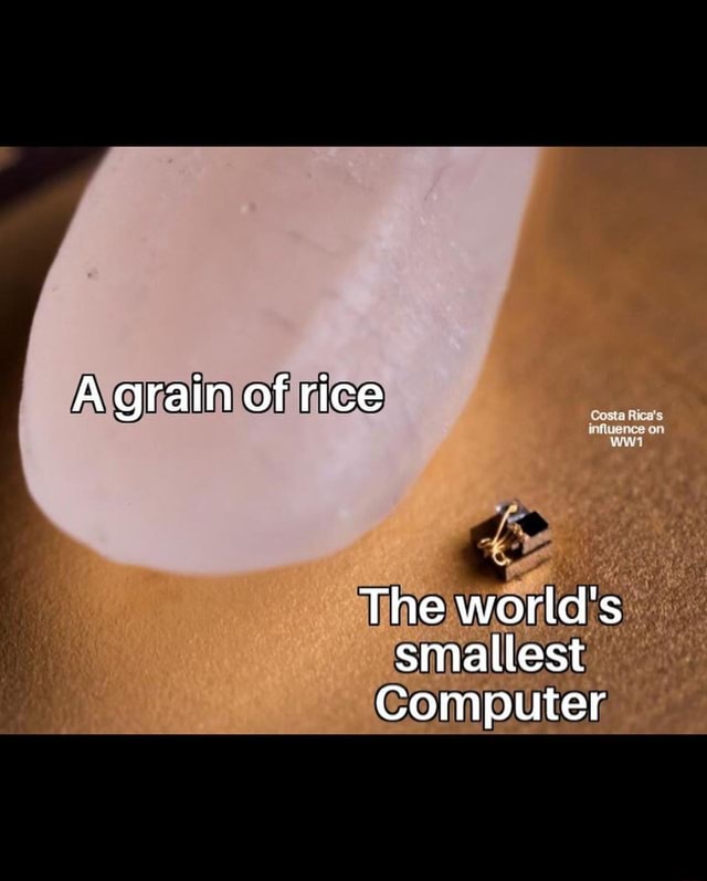 A grain of rice The world's smallest Computer - iFunny