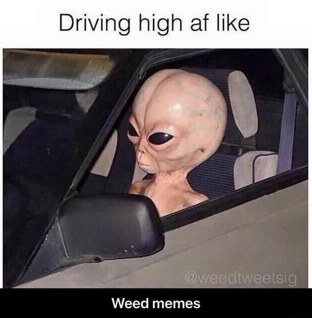 Driving high af like Weed memes - Weed memes - iFunny