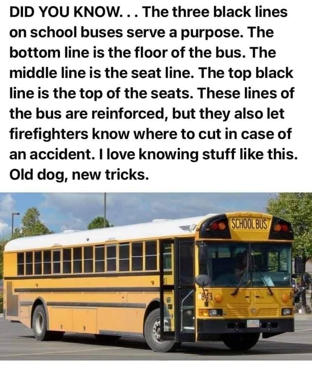 DID YOU KNOW... The three black lines on school buses serve a purpose ...