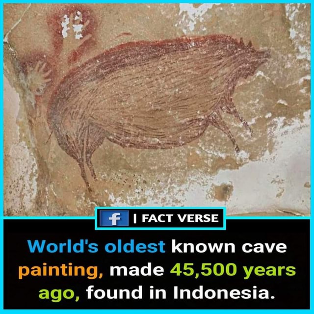 FACT VERSE World's oldest known cave painting, made 45,500 years ago ...