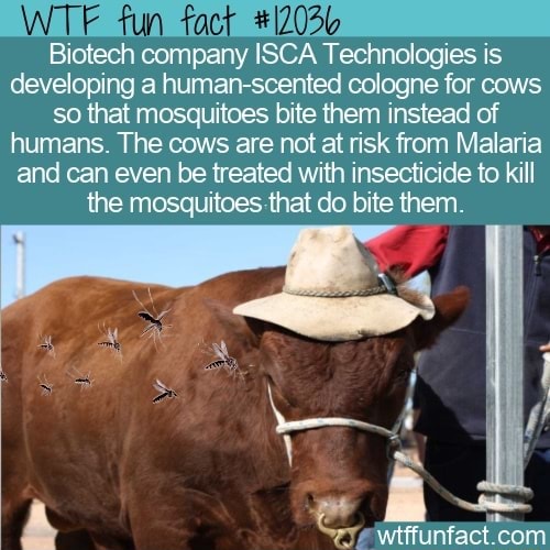VTE fun fact #1203b Biotech company ISCA Technologies is developing a ...