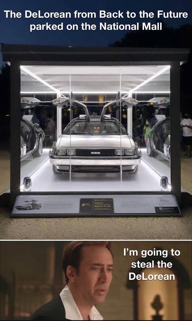 The DeLorean from Back to the Future parked on the National Mall I'm ...