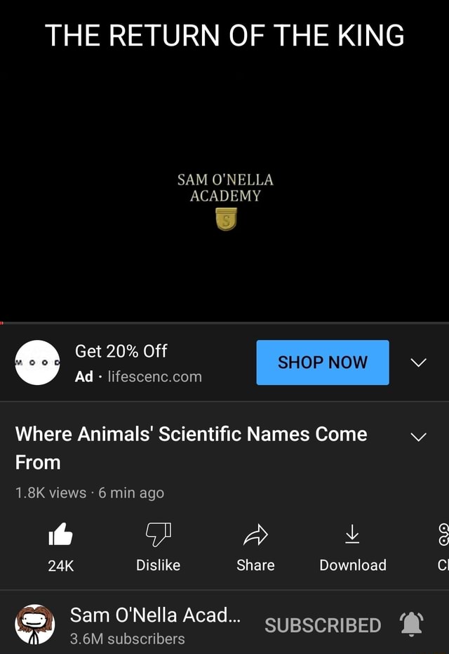 THE RETURN OF THE KING SAM O'NELLA ACADEMY Get 20% Off Ad Where Animals ...