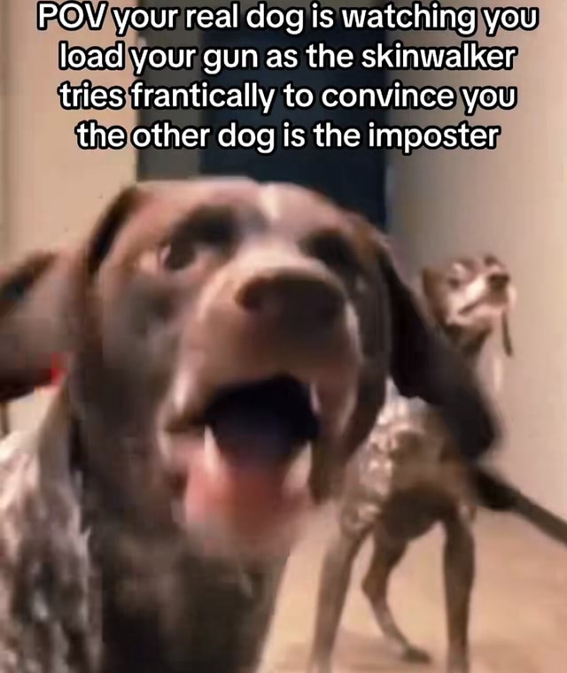 POV your real dog is watching you load your gun as the skinwalker tries ...
