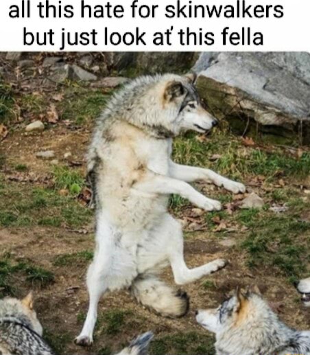 Ail this hate for skinwalkers but just look at this fella - iFunny