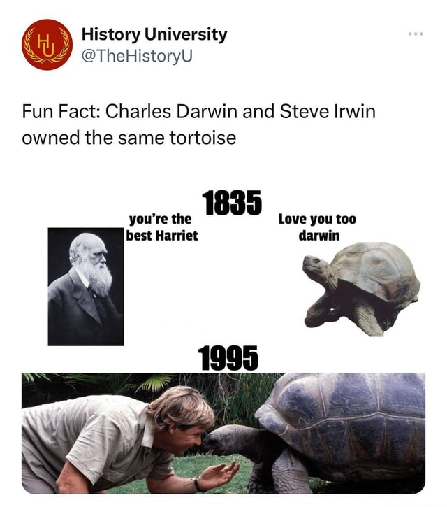 Well you might say the Tortoise owned them. #history #historymemes # ...