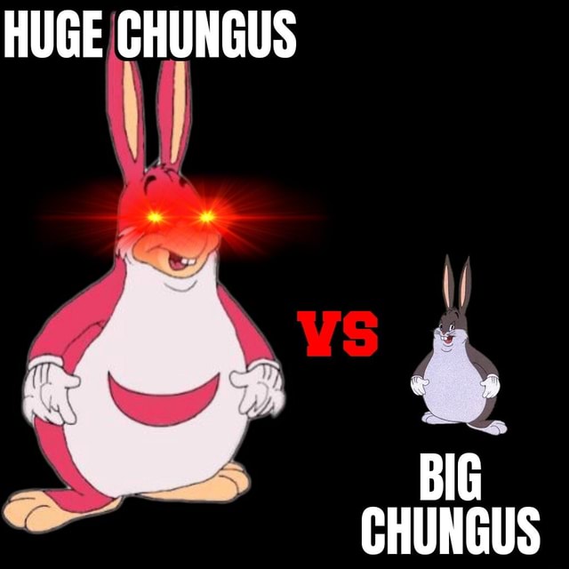HUGE CHUNGUS BIG CHUNGUS - iFunny