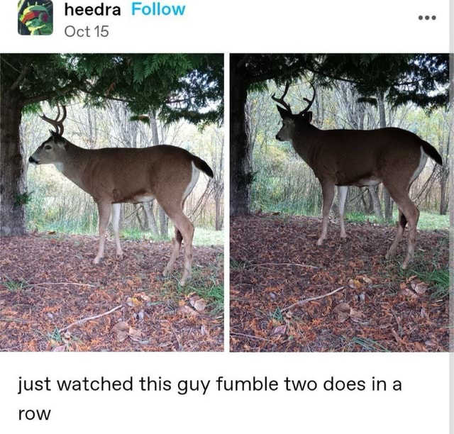 Heedra Follow Oct 15 just watched this guy fumble two does ina row - iFunny