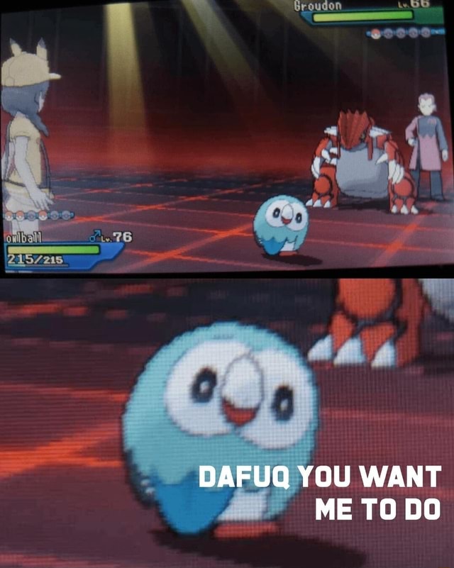 DAFUQ YOU WANT ME TO DO - iFunny