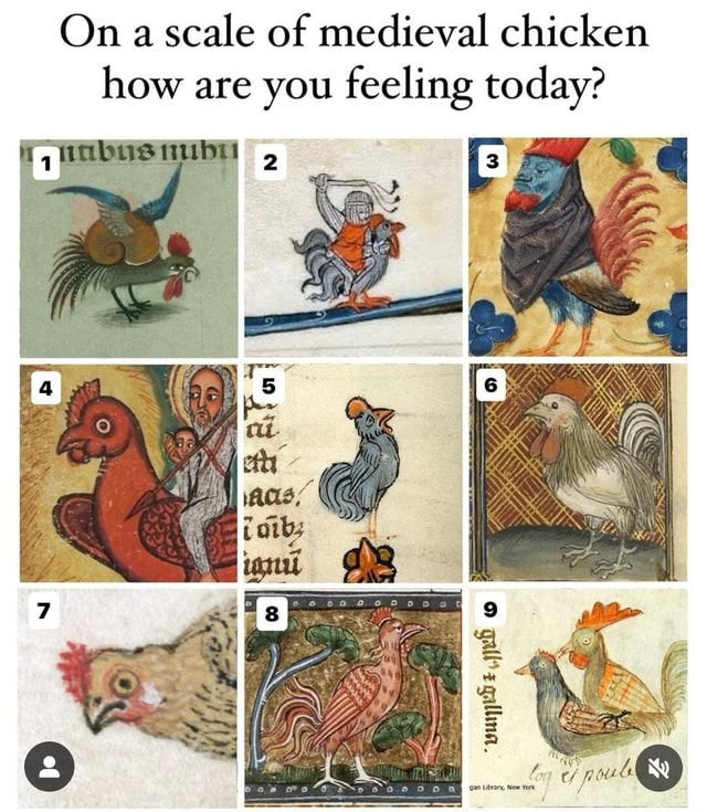 On a scale of medieval chicken how are you feeling today? - iFunny