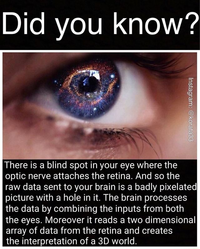 Did you know? fad} There is a blind spot in your eye where the optic ...