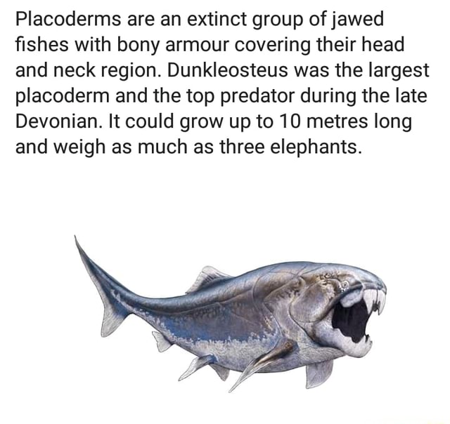 Placoderms are an extinct group of jawed ﬁshes with bony armour ...
