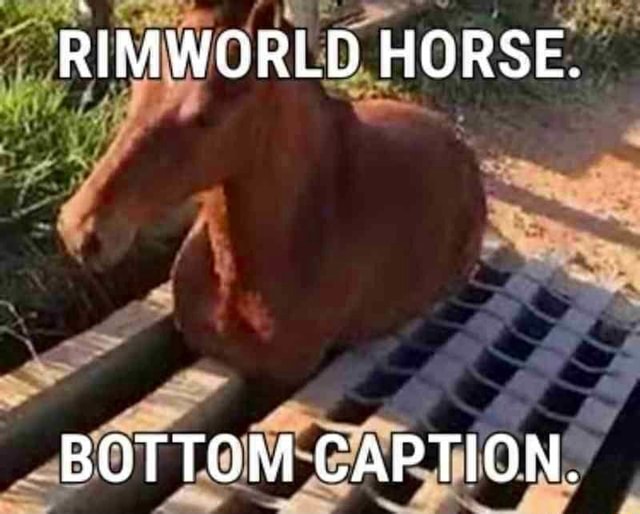 RIMWORLD HORSE. BOTTOM CAPTION. - iFunny