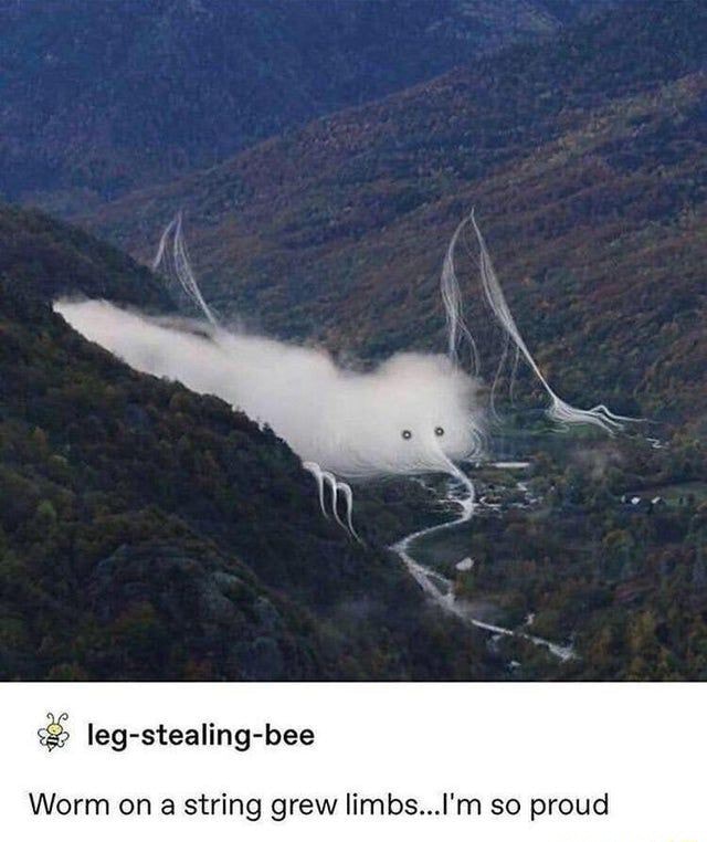 Leg-stealing-bee Worm on a string grew limbs...I'm so proud - iFunny