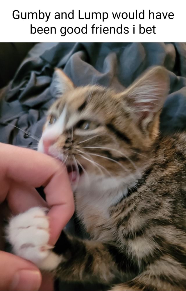 Gumby and Lump would have been good friends i bet - iFunny