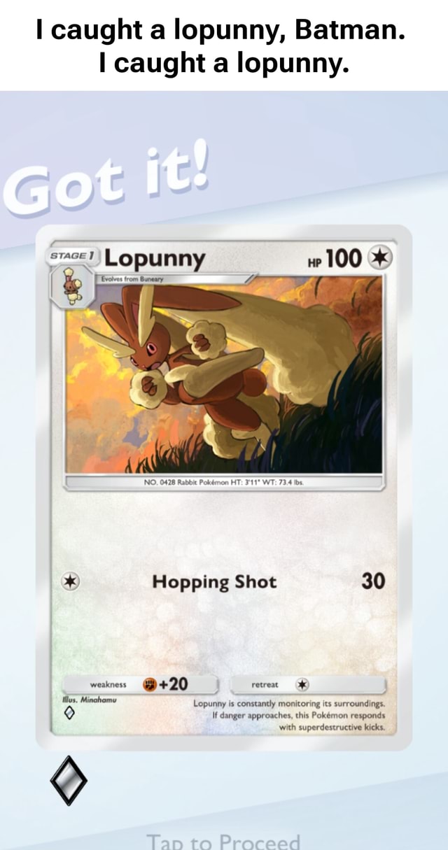 I Caught A Lopunny Batman I Caught A Lopunny Lopunny We 100 All 4 I