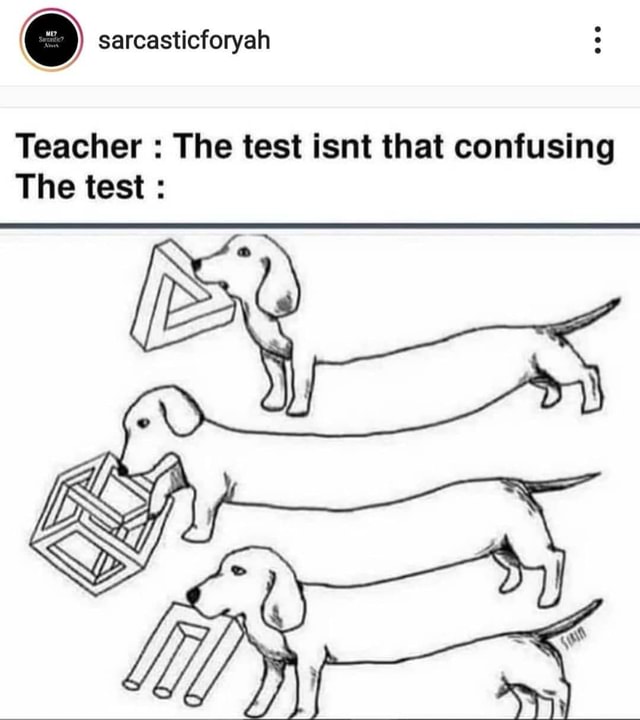Sarcasticforyah Teacher : The test isnt that confusing The test ...