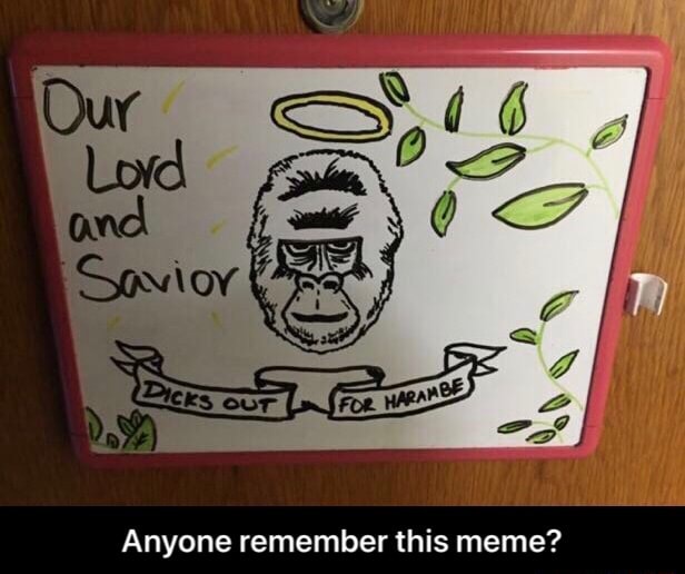 Anyone remember this meme? - Anyone remember this meme? - iFunny