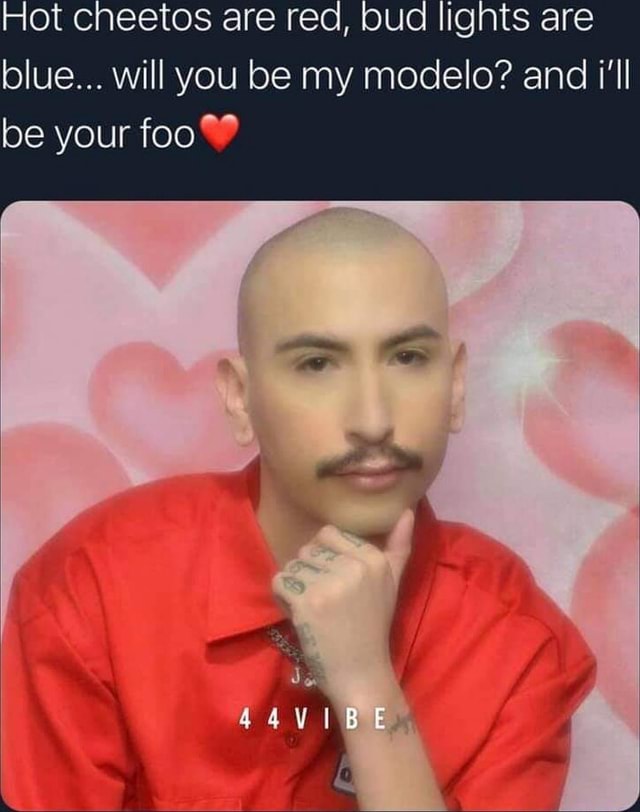 Hot cheetos are red, bud lights are blue... will you be my modelo? and ...