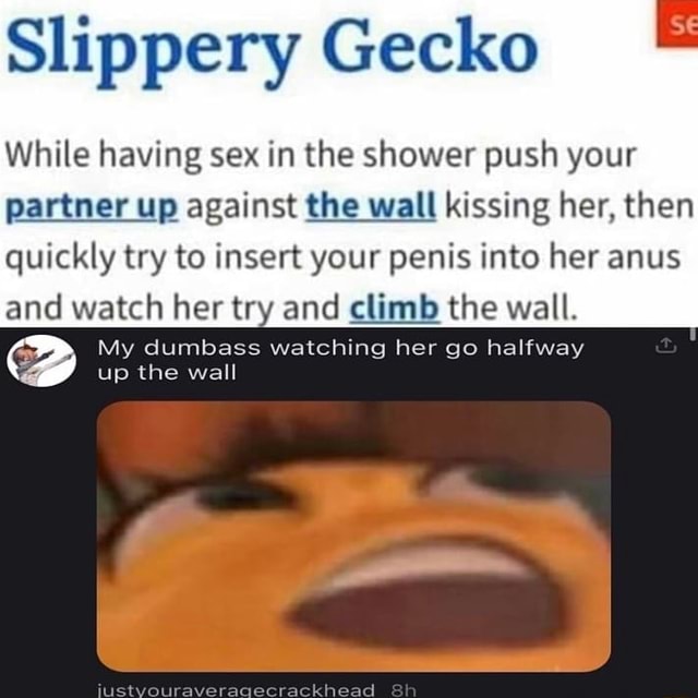 Slippery Gecko While having sex in the shower push your partner up ...