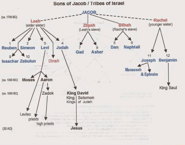 Sons of Jacob / Tribes of Israel (ca. 1700 BC) Leah--~~ i (elder sister ...
