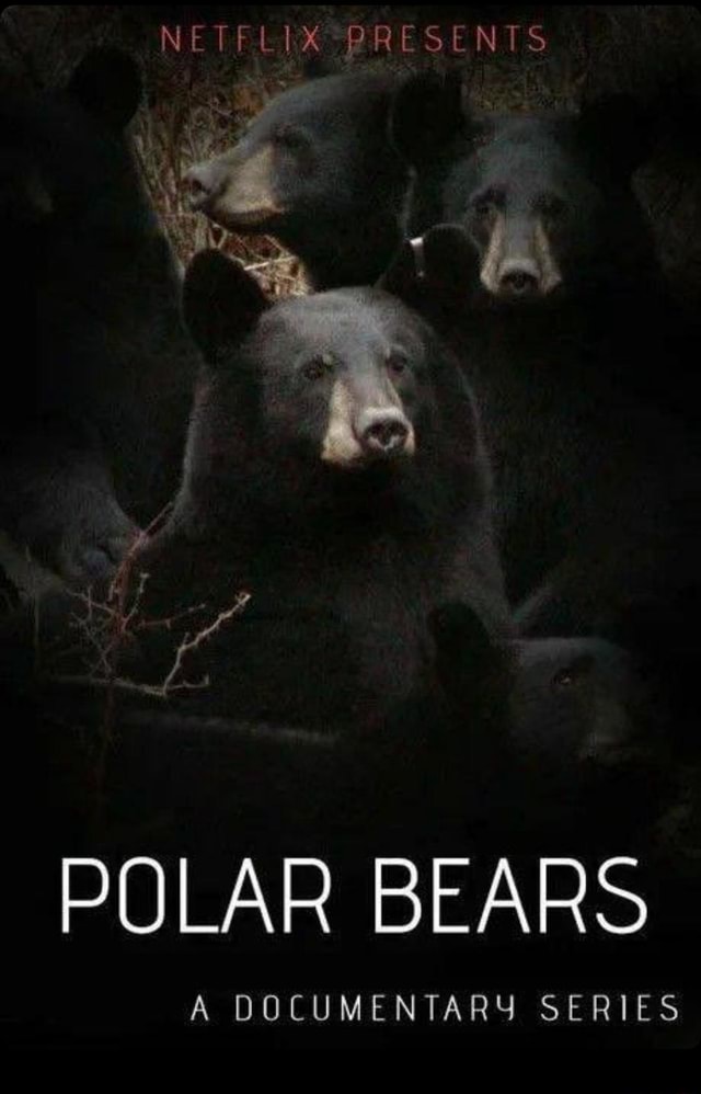 NETFLIX =PRESENTS POLAR BEARS A DOCUMENTARY SERIES - iFunny