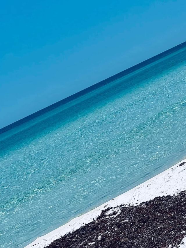 Clearest water ever! 🙌💖💙 📸📸Taryn Hall Okaloosa Island - America’s best ...
