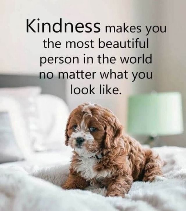 Kindness makes you the most beautiful person in the world no matter ...