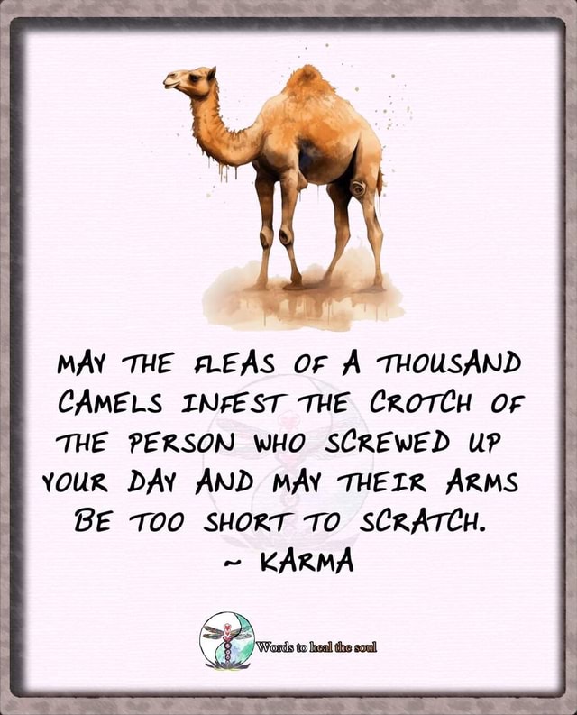 MAY THE FLEAS OF A THOUSAND CAMELS INFEST THE CROTCH OF THE PERSON WHO ...