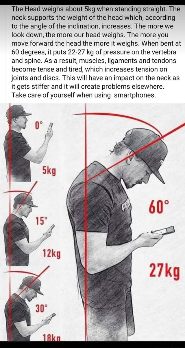The Head weighs about Skg when standing straight. The neck supports the ...