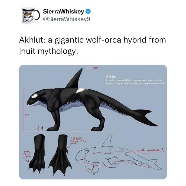 Akhlut A Gigantic Wolf Orca Hybrid From Inuit Mythology Ifunny