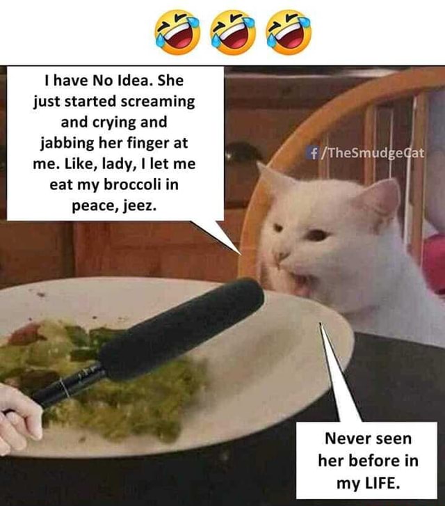 Have No Idea. She just started screaming and crying and jabbing her ...