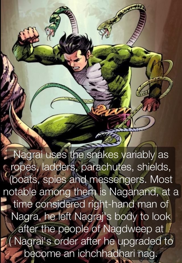Nagral uses the snakes variably as ropes, ladders, parachutes, shields ...
