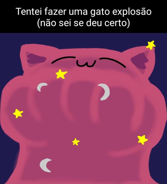 Tentei fazer uma gato explosão (não sei se deu certo) - iFunny Brazil