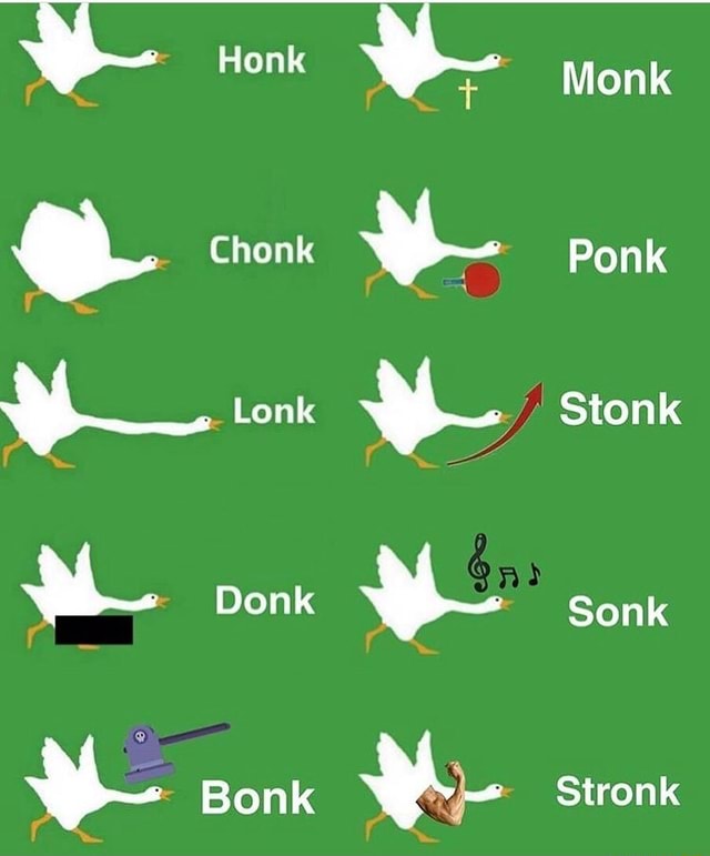 Honk Monk Chonk Ponk Lonk Stonk Bonk Stronk - iFunny